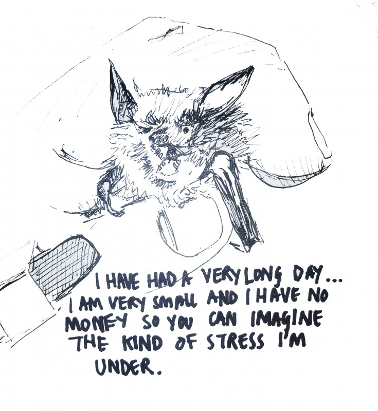 Beacon Tower Sound Commission: This is Moth Death: Timothea Armour ...